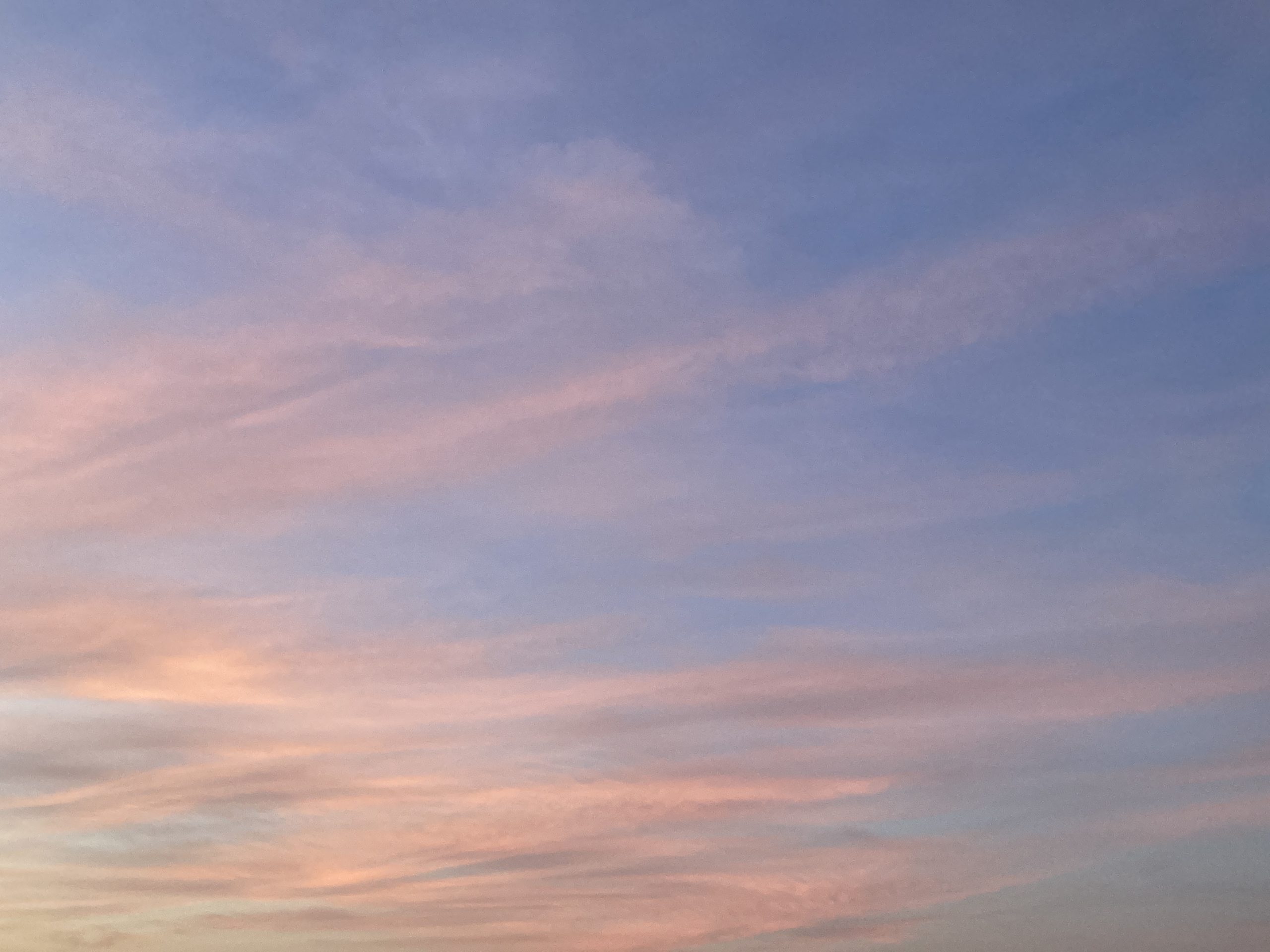 こころの熾火に - LifeShift